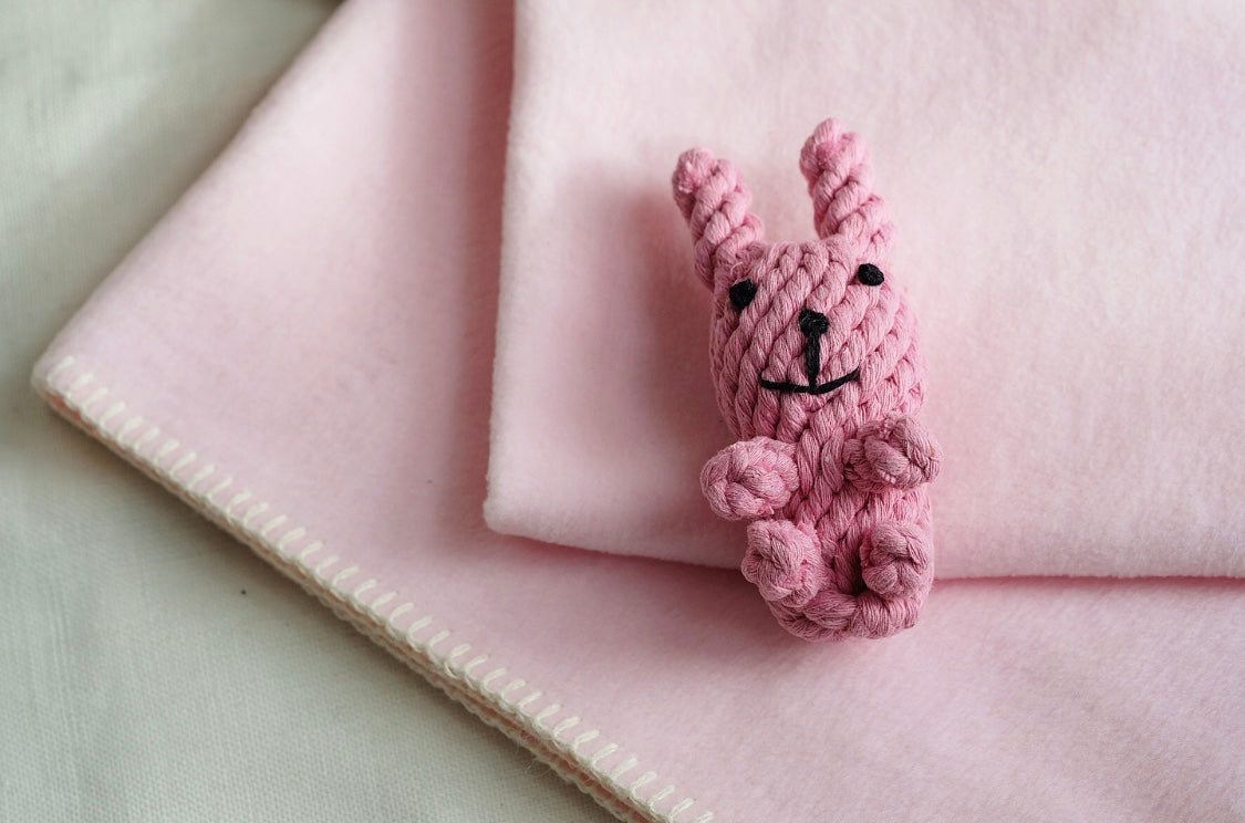 Rabbit Cotton Rope Dog Toy – Nugget Nielsen
