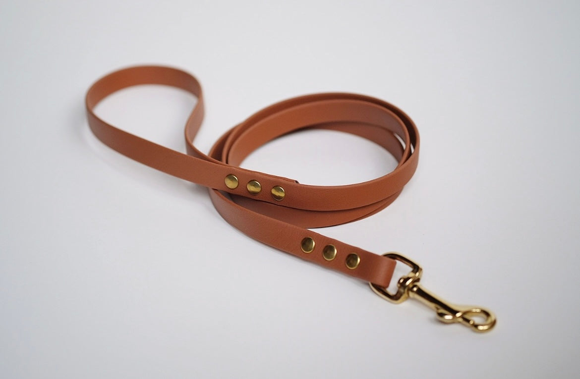 All Leashes – Nugget Nielsen