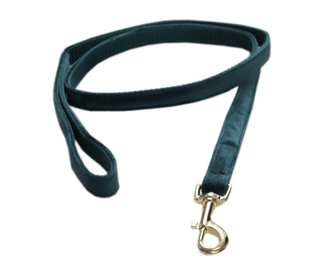 All Leashes – Nugget Nielsen