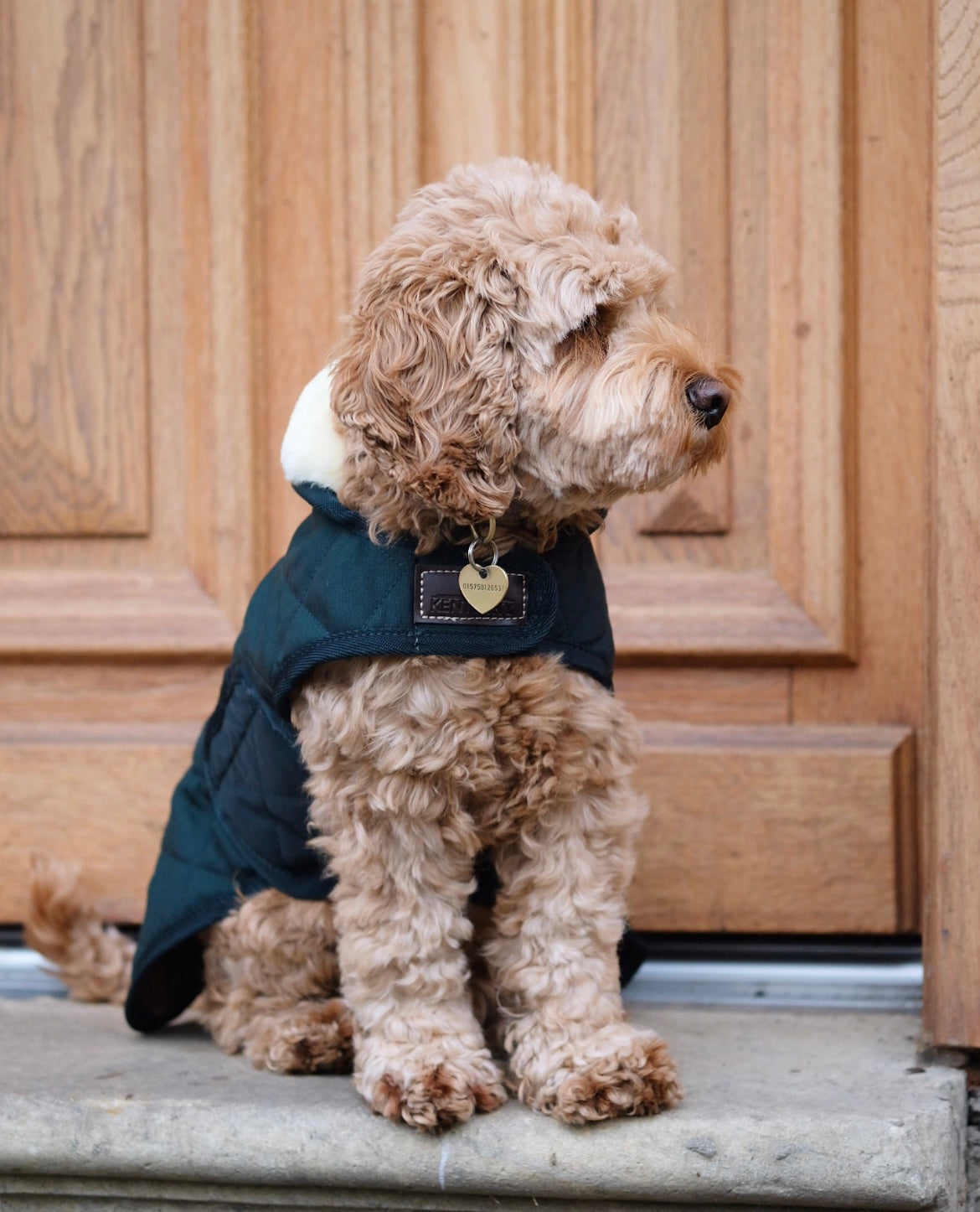 Dog Wear – Nugget Nielsen