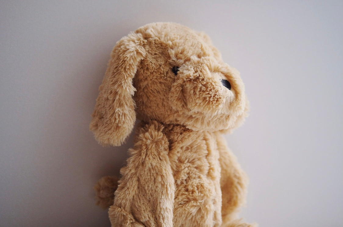 Plush Cockapoo Nugget – Nugget Nielsen