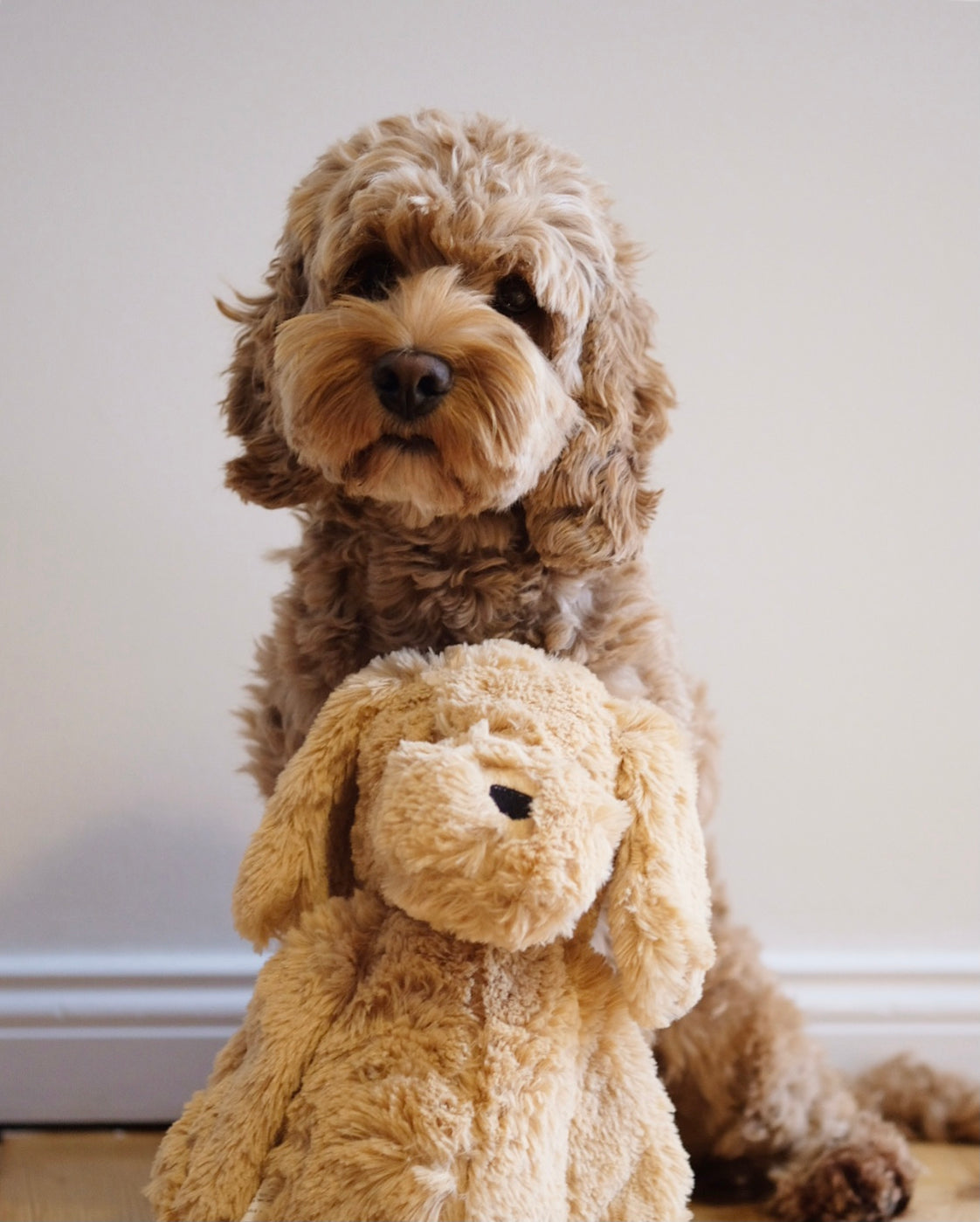 Nugget Nielsen - For the Love of Dogs