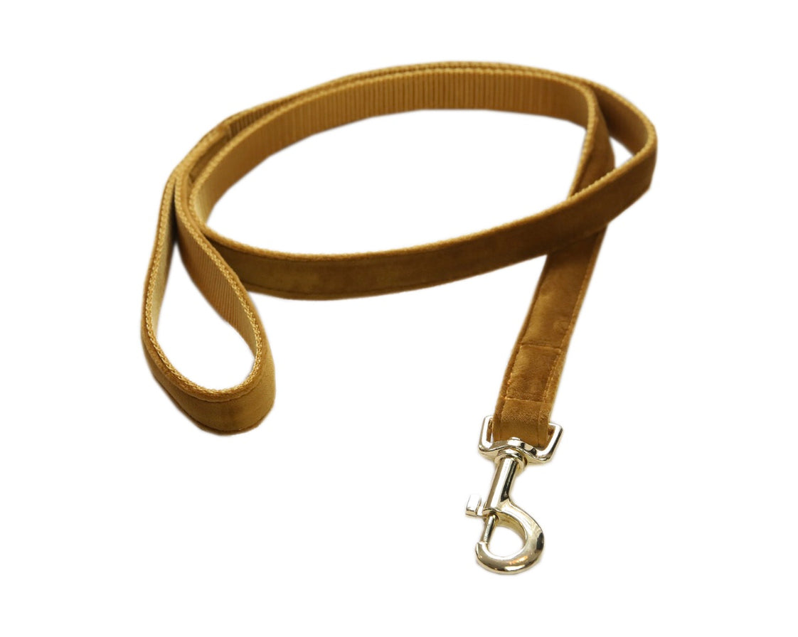 All Leashes – Nugget Nielsen