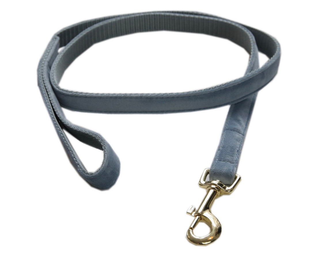 All Leashes – Nugget Nielsen